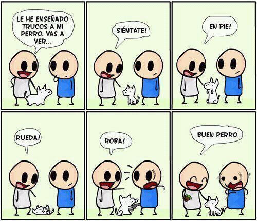 ROBAA!!!!!! buen chico °¬° - Meme subido por jason1861 :) Memedroid