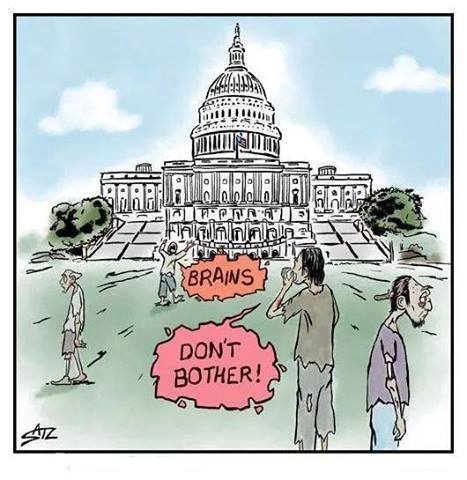 A Congress is a group of Baboons... - Meme by nyyankees1994 :) Memedroid