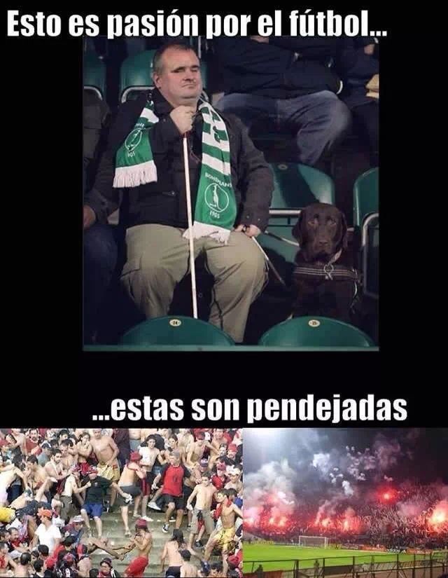 Hincha de verdad. - Meme subido por mariedestepa15 :) Memedroid