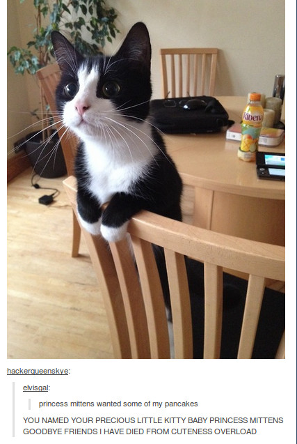 Overload! - Meme by Astuvan :) Memedroid