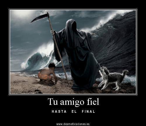 Tu amigo fiel... hasta el final. - Meme subido por kimi130 :) Memedroid