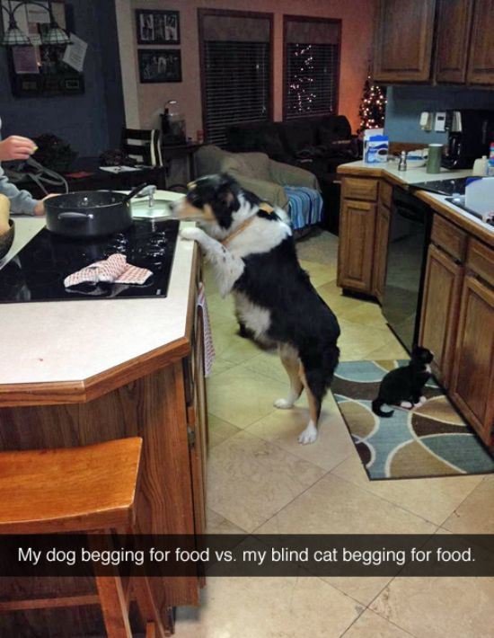 poor bugger - Meme by shzball :) Memedroid