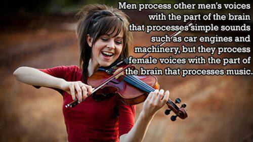 starling such beautiful music - Meme subido por generalkhandog :) Memedroid