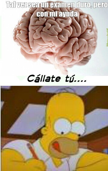 jajaja... ese homero :') - Meme subido por kappygr2014 :) Memedroid