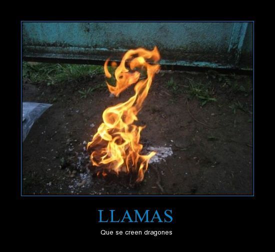 Fuego - Meme subido por pajariko145 :) Memedroid