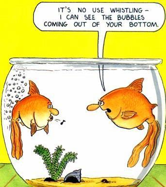 Fish farts - Meme by Random_____User :) Memedroid