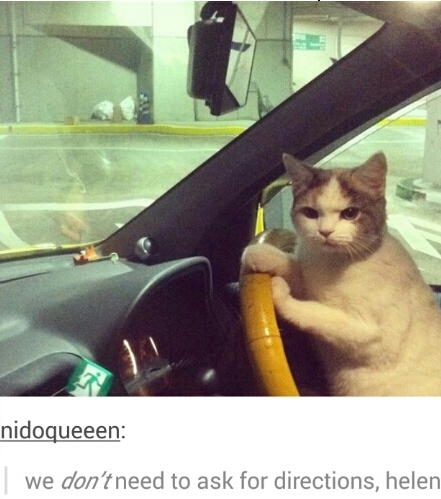 aliens guy: *male cats* - Meme by bails22.cb :) Memedroid