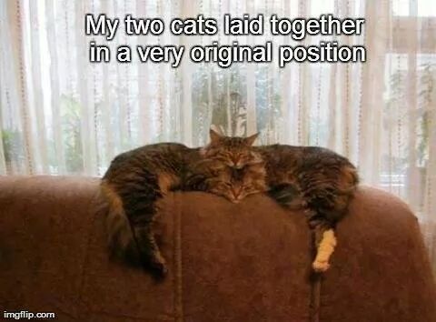 Morphin time - Meme by roachman75 :) Memedroid