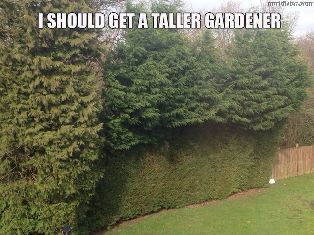 Well... Maybe - Meme by futziesalzmann :) Memedroid