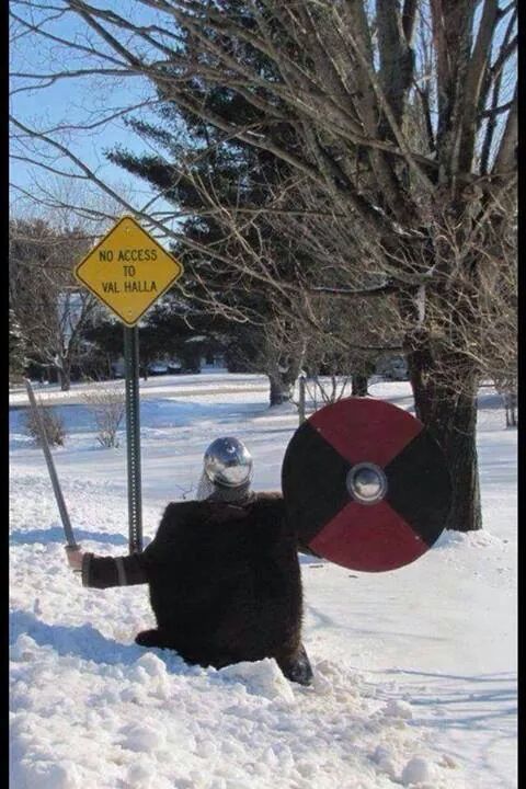 Y U DO DIS VALHALLA!?!?!? - Meme by skysmonsterjam :) Memedroid