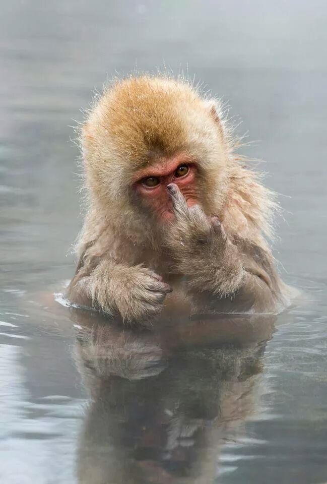 jaja nmms - Meme subido por aby.macias99 :) Memedroid