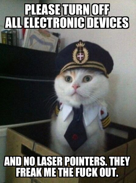 Captain cat - Meme by gorfslayer-_- :) Memedroid
