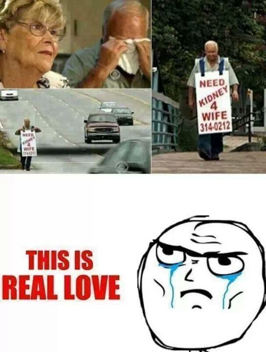 true love - Meme by abdallahbaherm.samir :) Memedroid