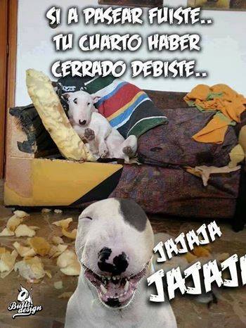 perros cabrones - Meme subido por mahs80 :) Memedroid