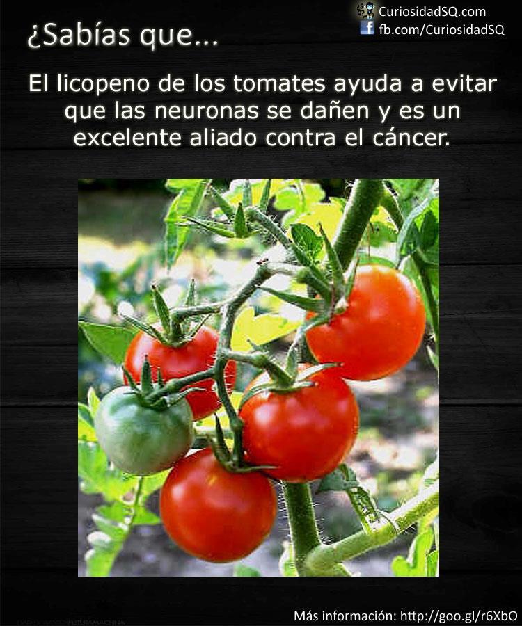 Tomates - Meme subido por RusLTL :) Memedroid