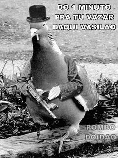 Pombos... - Meme by BADALO_PARA_TODOS :) Memedroid