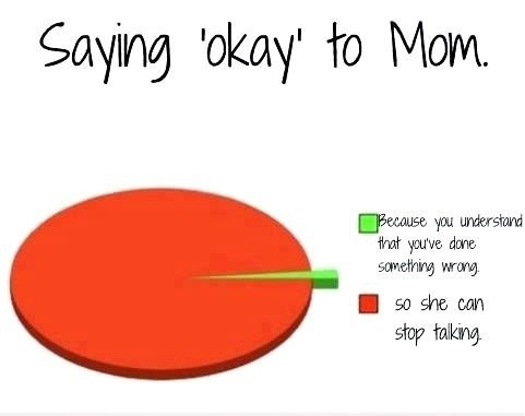 Okay Mom Memes
