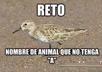 te reto..... - Meme subido por jeanine1889 :) Memedroid