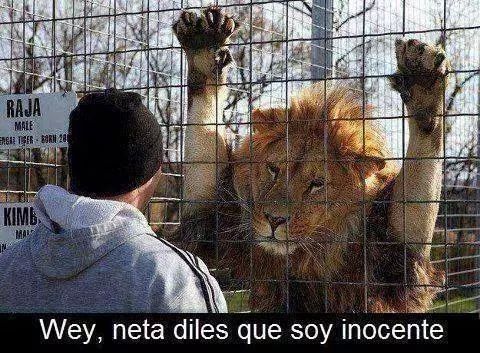 Soy inocente:( - Meme subido por el_Irri27 :) Memedroid