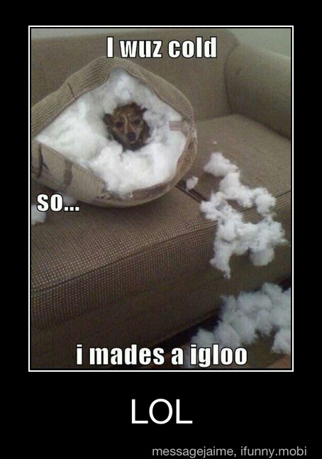 Igloo - Meme by Heista :) Memedroid