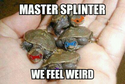 turtles - Meme subido por binxdabass :) Memedroid