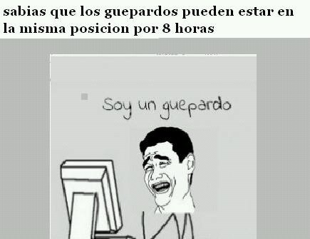 GalerÃ­a - Meme subido por annademalik :) Memedroid