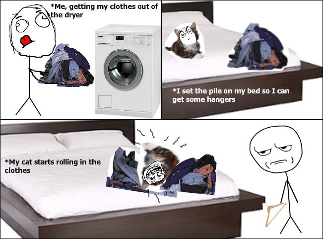 cats - Meme subido por adele001 :) Memedroid