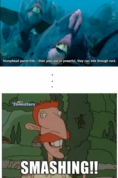 Nigel, you are smashing - Meme subido por InterCrocGator :) Memedroid