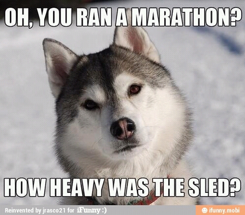 haaahaa - Meme by gogocat :) Memedroid