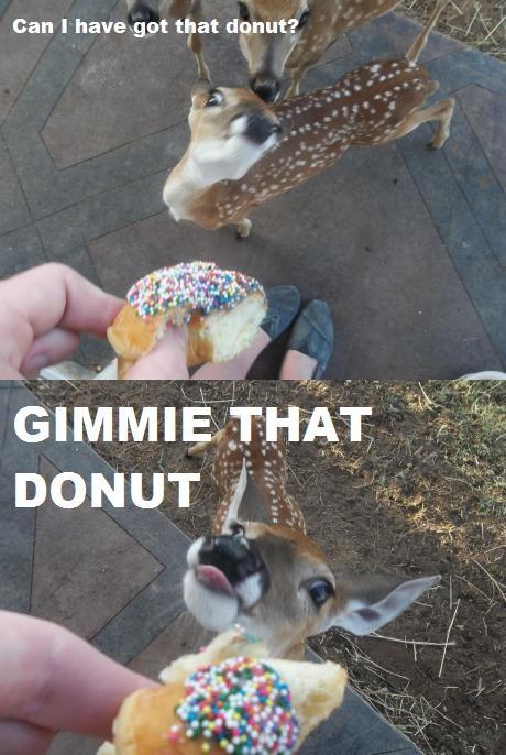 DONUT - Meme by Sighrow4 :) Memedroid