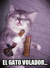 El gato volador - Meme subido por Xisco.k.r :) Memedroid