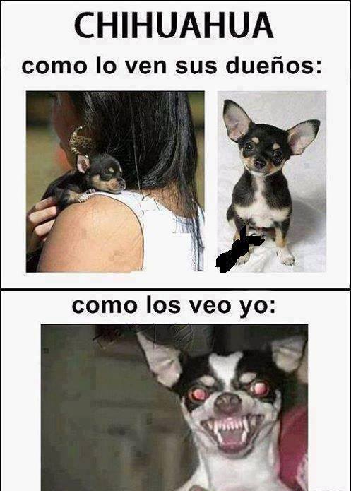 son tiernos decian.. - Meme subido por nancymendoza229 :) Memedroid