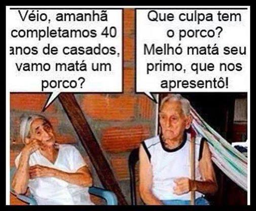 porco - Meme by psuo19 :) Memedroid