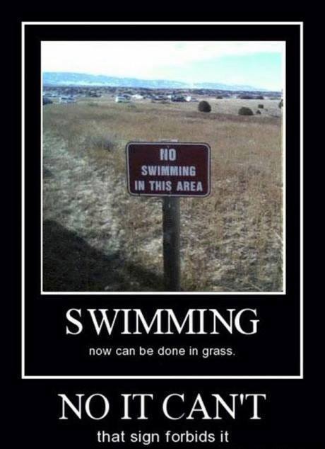 Why Not? - Meme by disgal132 :) Memedroid