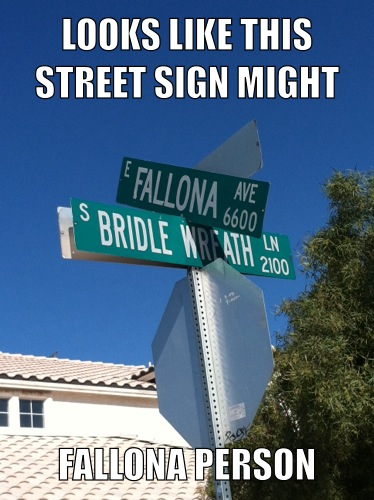 This is about as much pun as I can pun - Meme by everybody :) Memedroid