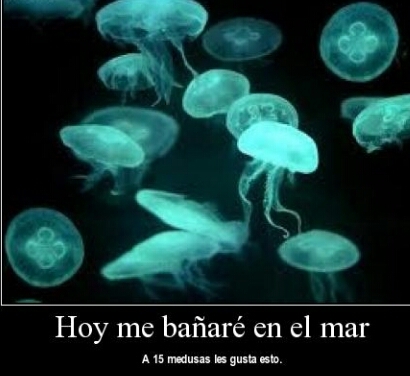 medusas...... - Meme subido por jaimefsdt7 :) Memedroid
