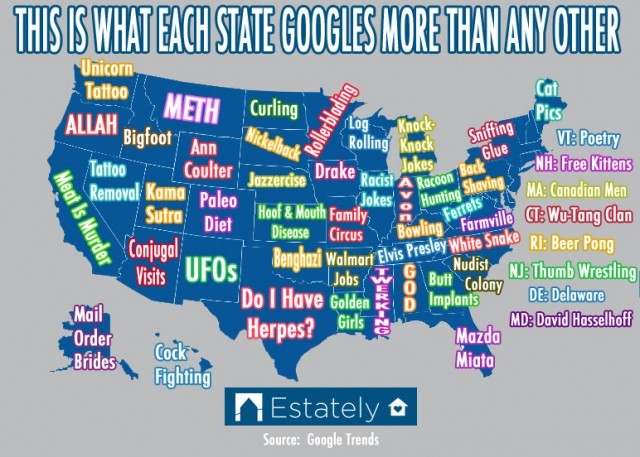 What each state googles the most - Meme by funkychimp93 :) Memedroid
