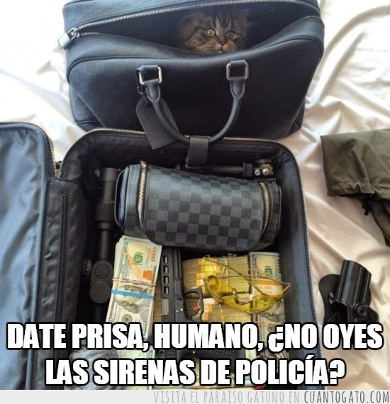 botín - Meme subido por oaxaco :) Memedroid