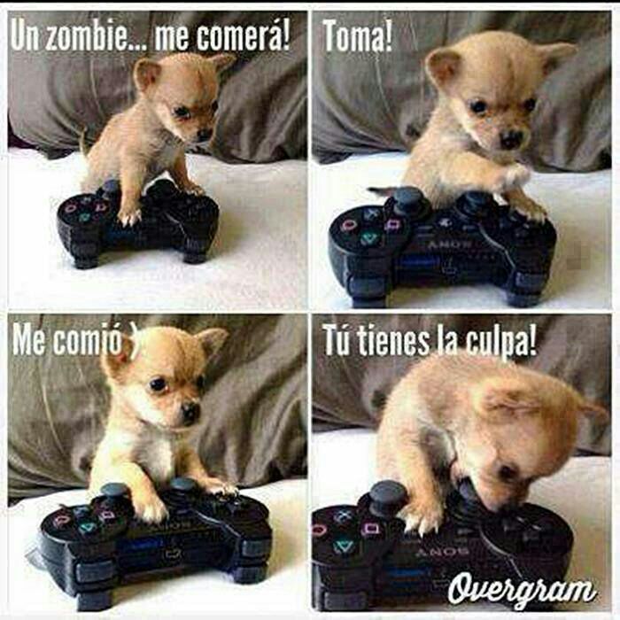 perrito gamer - Meme subido por navI12 :) Memedroid