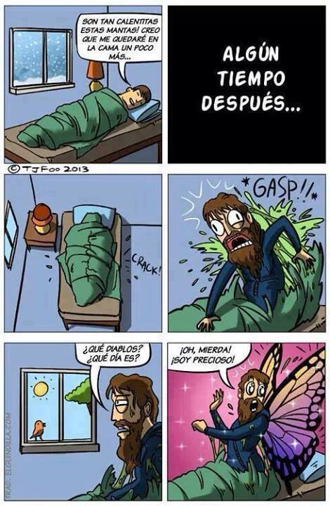 Soy una linda mariposa - Meme subido por DEBORAMELTROSO :) Memedroid