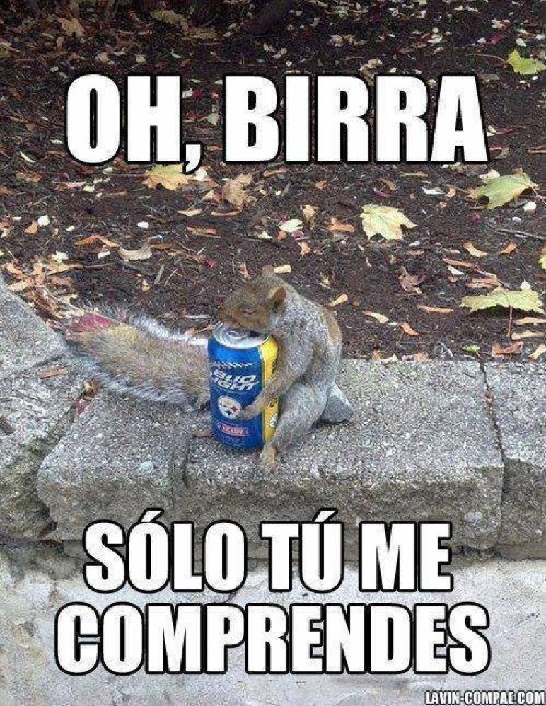 Las birras son las únicas que nos comprenden - Meme subido por ...