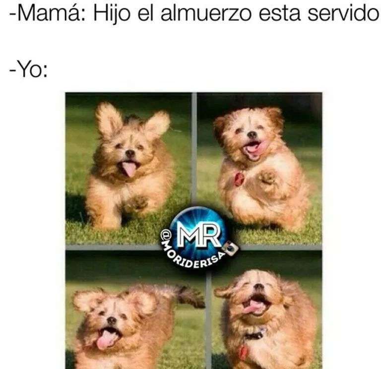 la comida - Meme subido por jair14 :) Memedroid