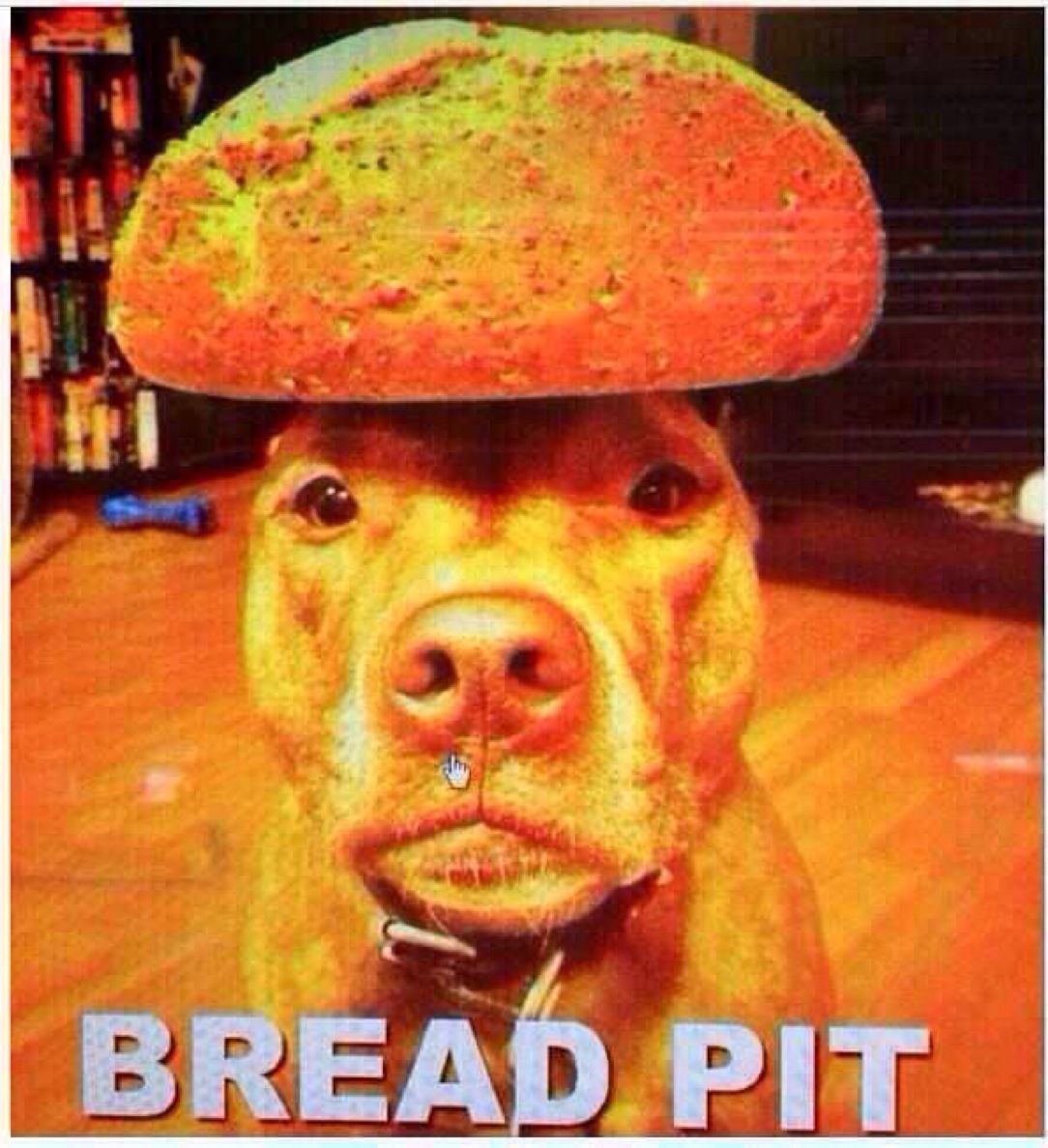 Bread Pit - Meme by THE-GORDURA-MASTER :) Memedroid