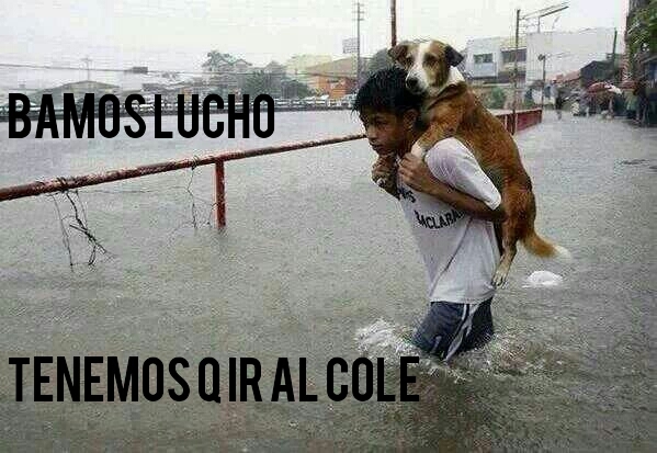 bamos luxo - Meme subido por loldatherun :) Memedroid