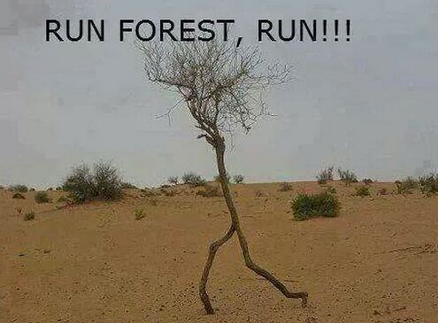 RUN BITCH RUN !!!!! - Meme by iSlenderman :) Memedroid