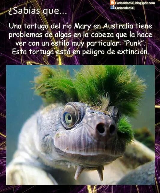 WTF? - Meme subido por wtf1951997 :) Memedroid