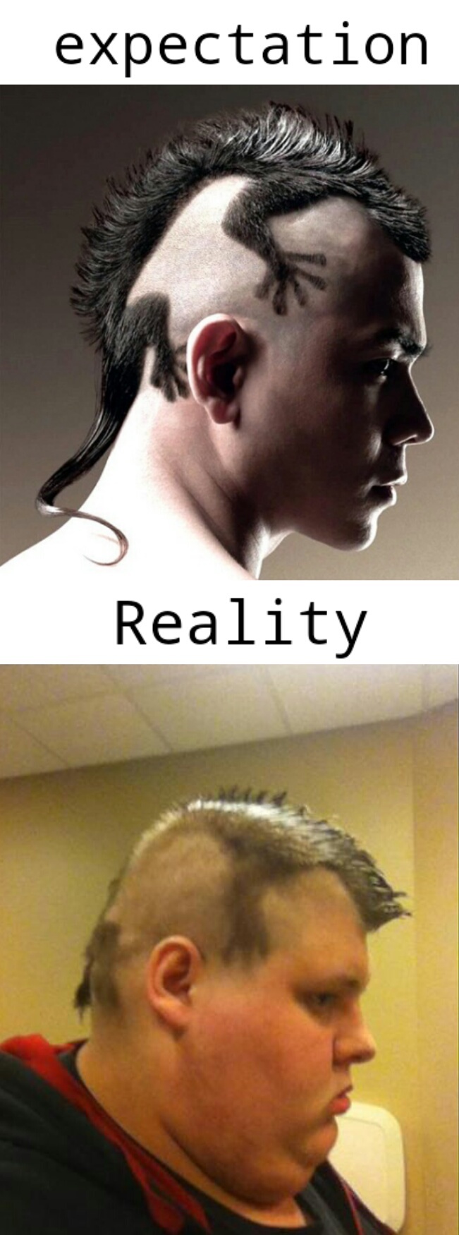 :lol: :pfffffft: omfg lol - Meme by pureinked :) Memedroid