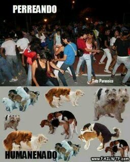 perreando - Meme subido por jeffersonciro :) Memedroid