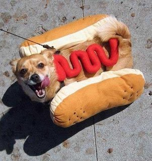 Definición gráfica de perrito caliente - Meme subido por Charlie ...