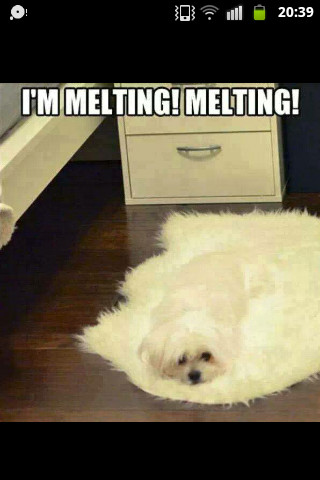 helppppp - Meme by elpegcao :) Memedroid